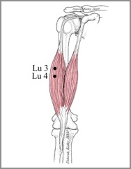 Whitfield Reaves | Acupuncture Sports Medicine, Maui Hawaii Seminars ...